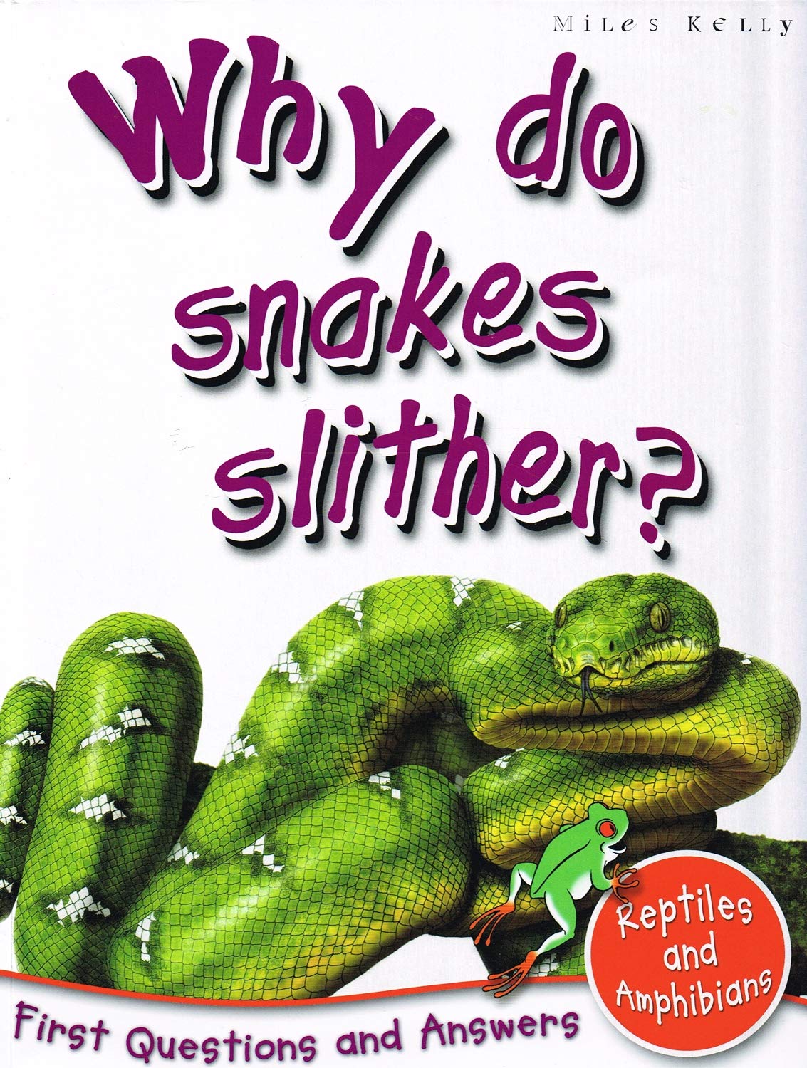 First Questions & Answers: Why Do Snakes Slitter? – WONDERSAURUS