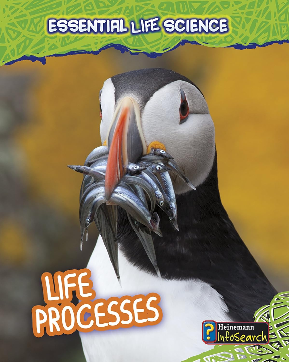 STEM Grade 4 Curriculum: Life Processes (Essential Life Science ...