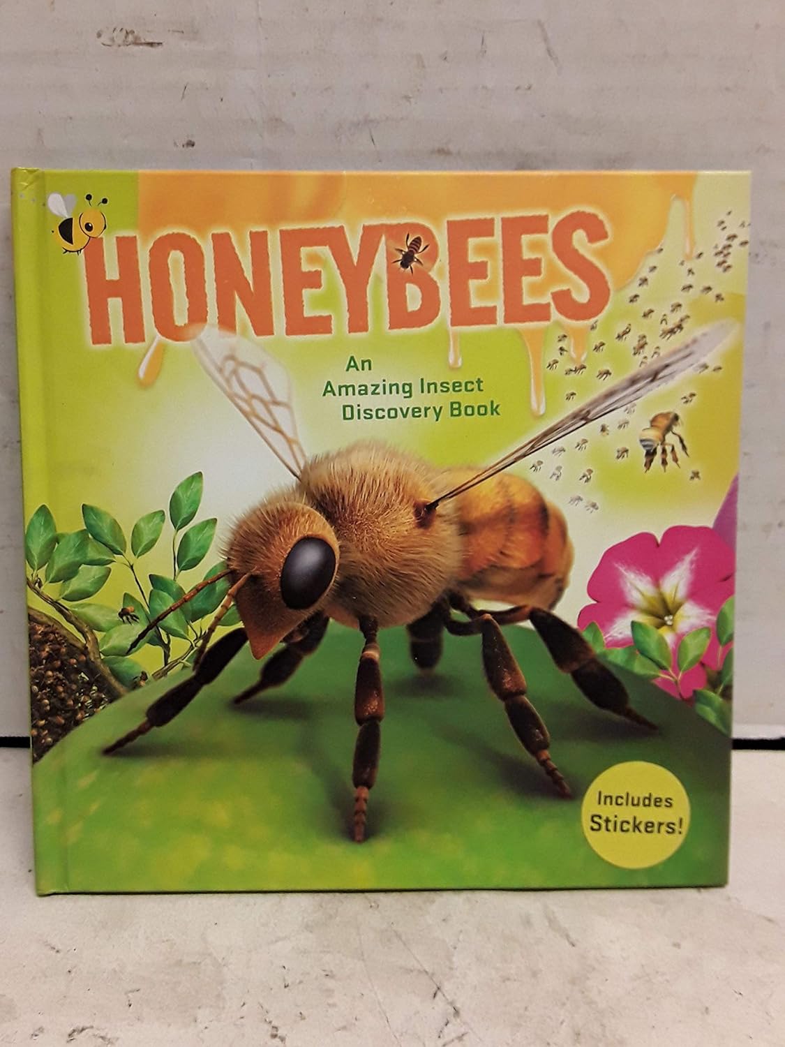 Honeybees - An Amazing Insect Discovery Book – Wondersaurus