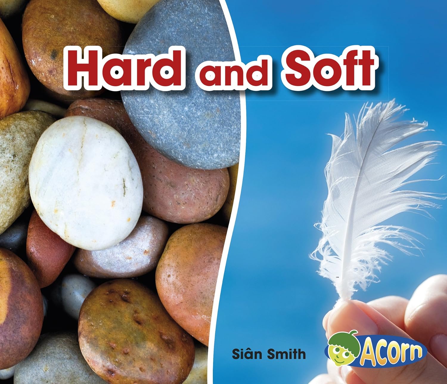STEM Grade 1 Curriculum: Hard and Soft (Opposites) – Wondersaurus