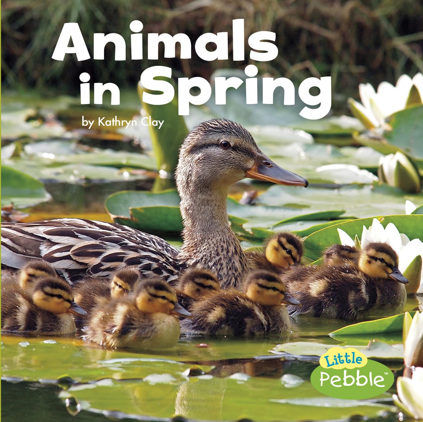Celebrate Spring: Animals in Spring – Wondersaurus