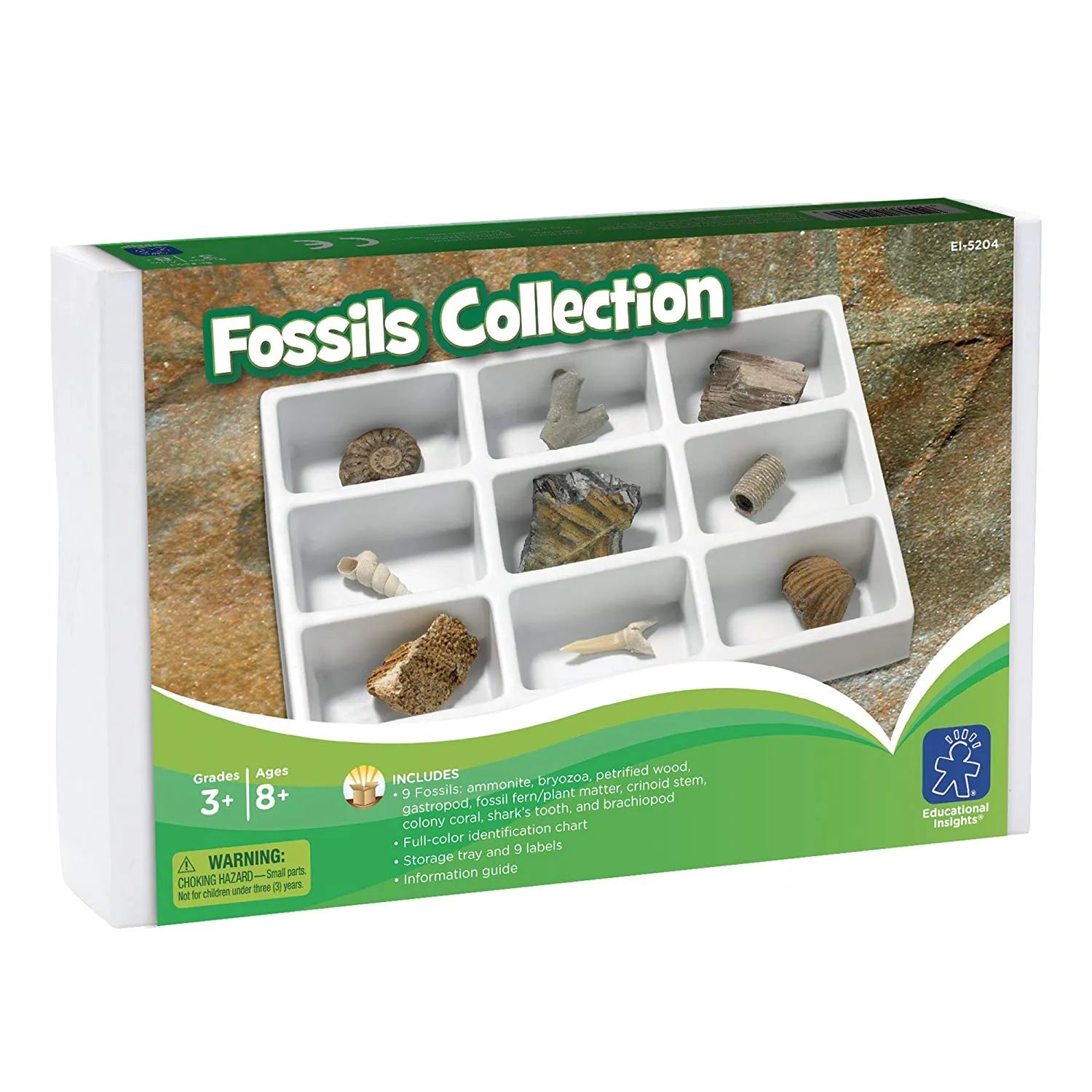 Fossils Collection – Wondersaurus
