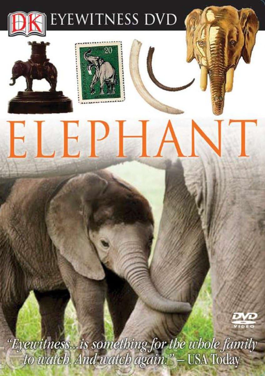 Eyewitness DVD: Elephant – Wondersaurus