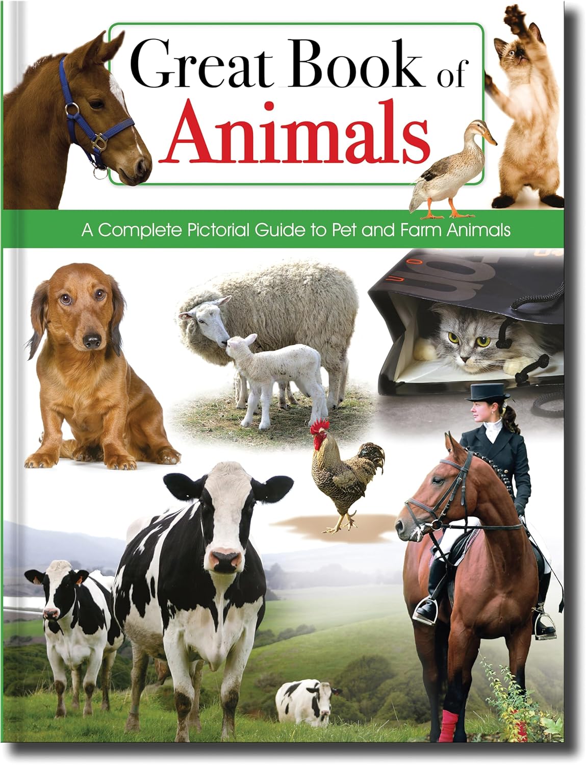 Great Book of Animals: Complete Pictorial Guide to Pet & Farm Animals ...
