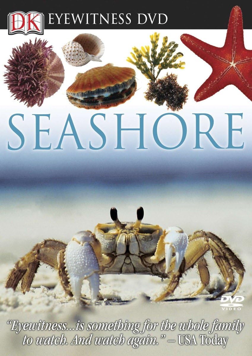 Eyewitness DVD: Seashore – Wondersaurus
