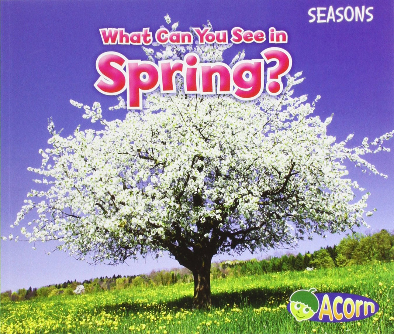 Seasons: What Can You See In Spring? – WONDERSAURUS