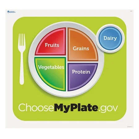 Healthy Helpings MyPlate Activity Mat – Wondersaurus